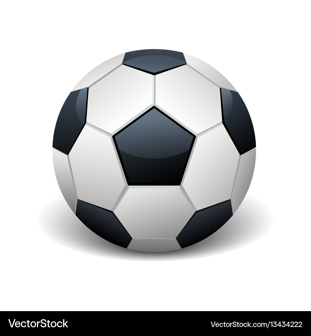 Realistic soccer ball isolated white Royalty Free Vector