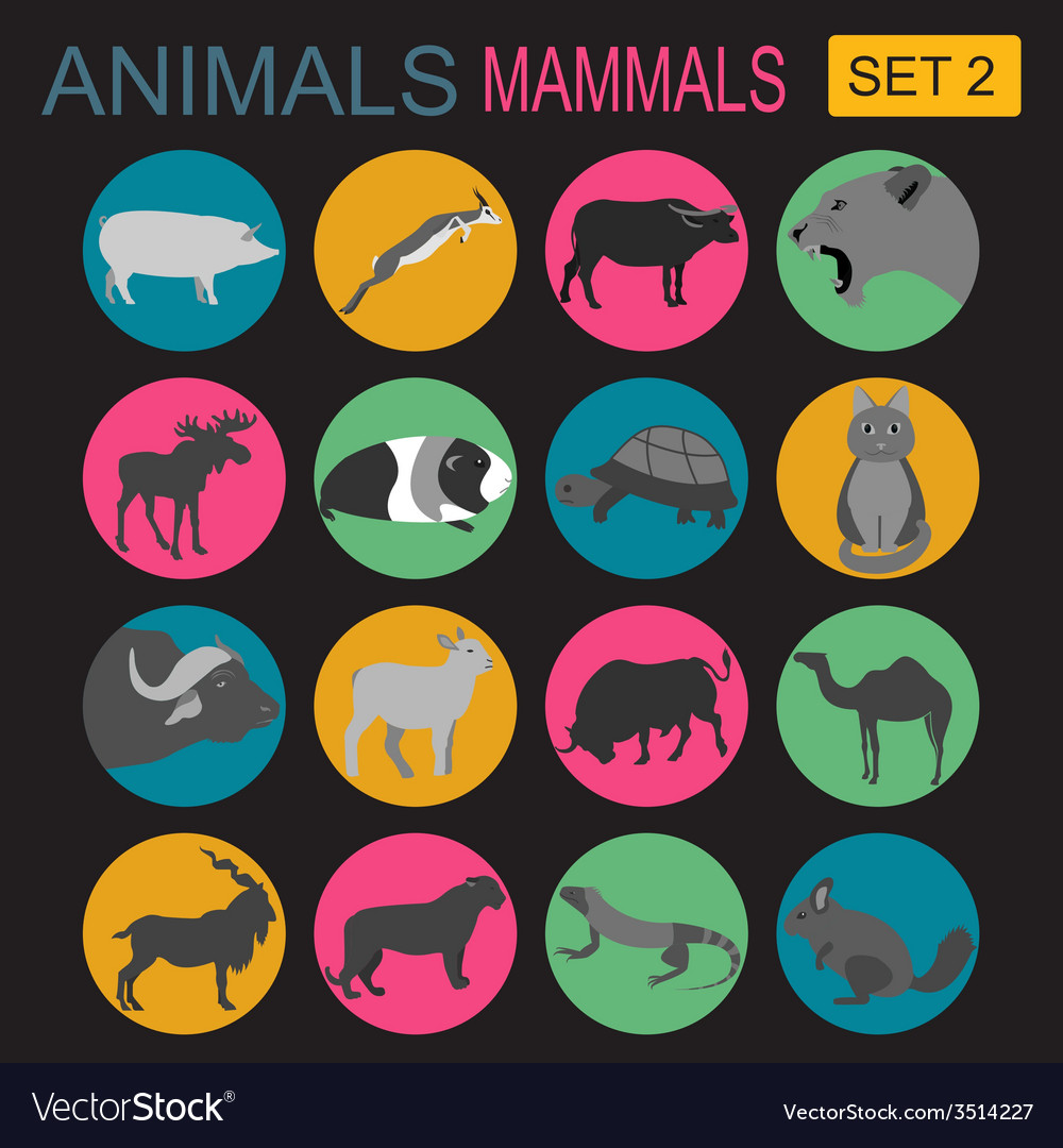 Animals mammals icon set flat style Royalty Free Vector Animals mammals icon set flat style Royalty Free Vector