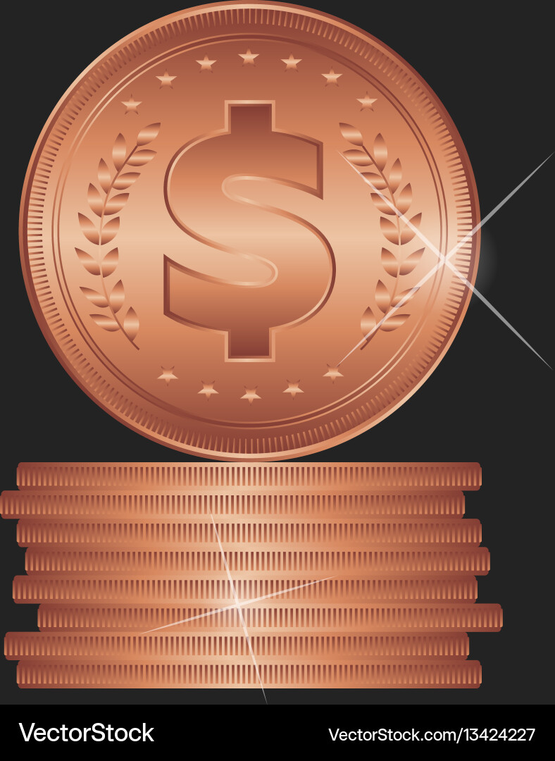 Bronze coin detailed Royalty Free Vector Image