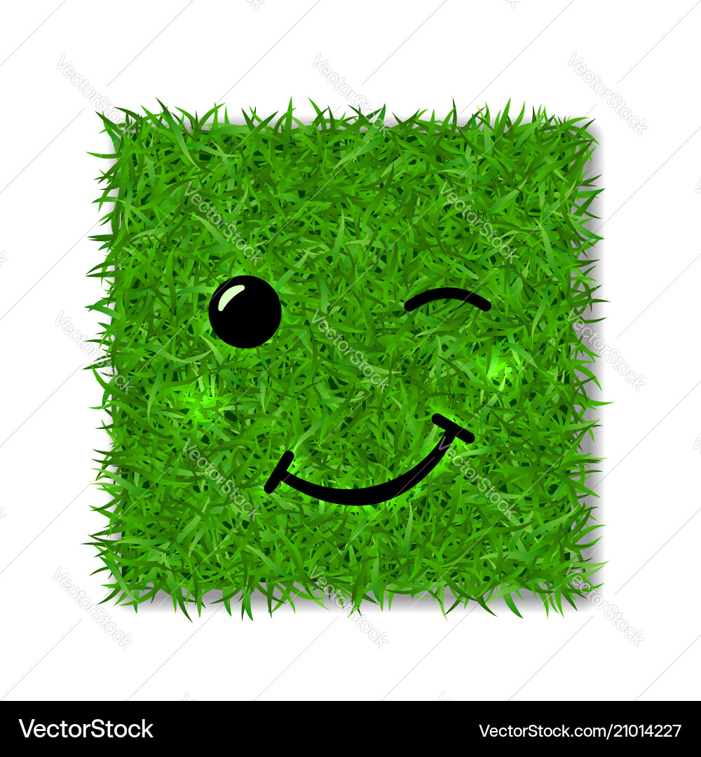 Green grass square field 3d face wink smile Vector Image