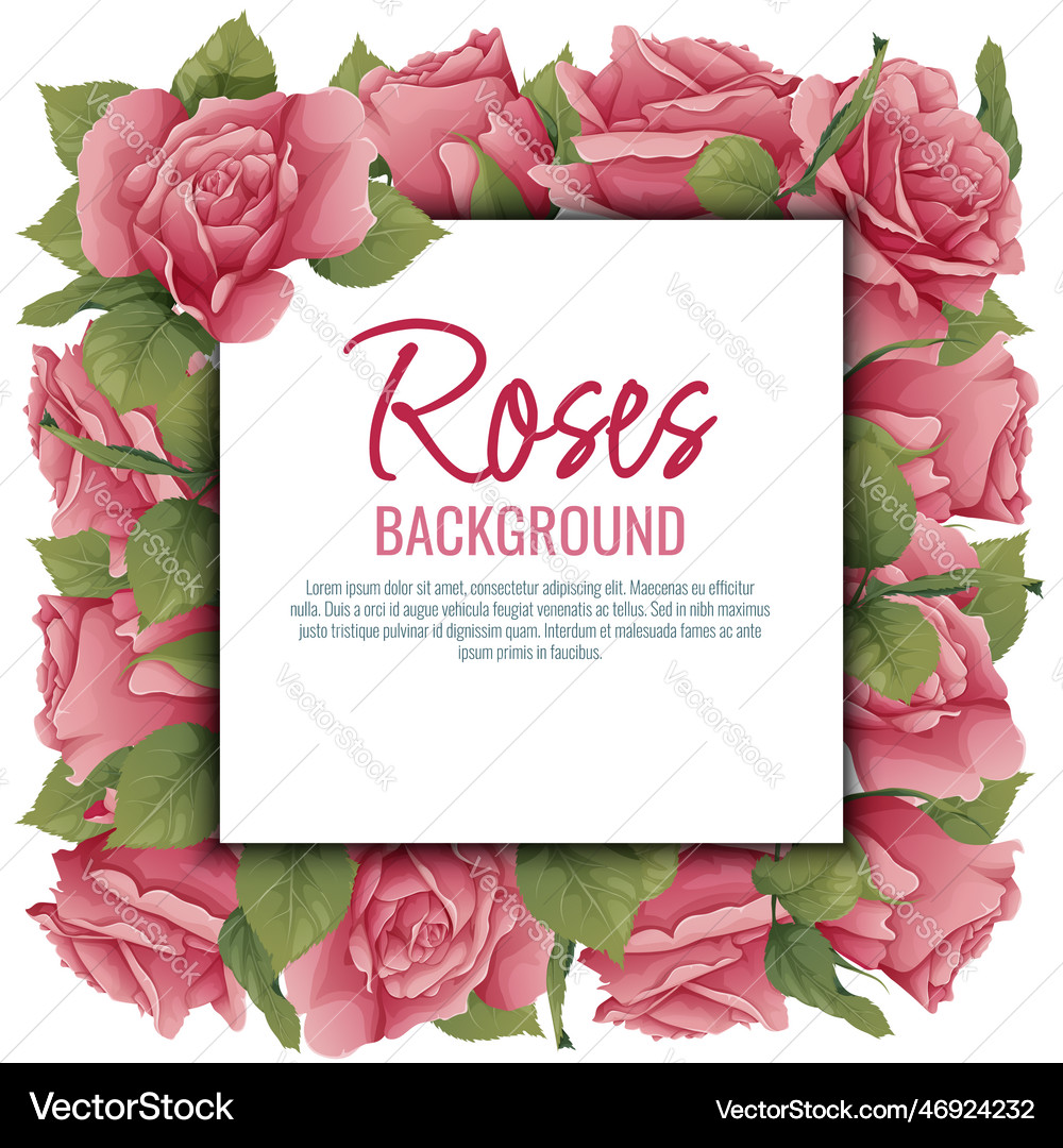 Frame with roses border with pink flowers Vector Image