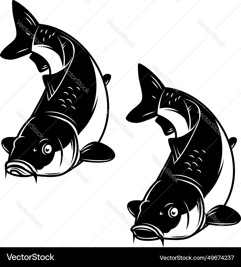 Carp fish in monochrome style isolated Royalty Free Vector