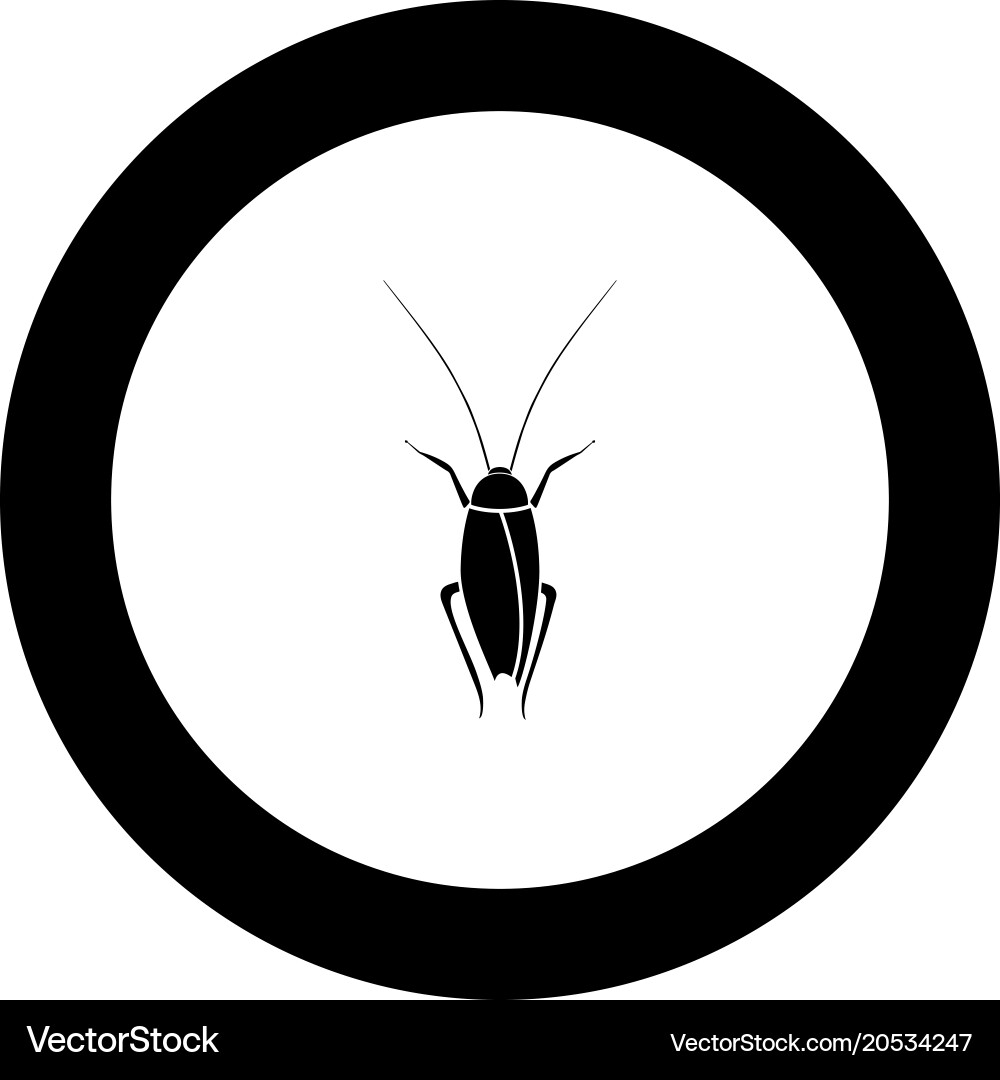 Cockroach Symbol schwarz Farbe im Kreis Lizenzfreier Vektor
