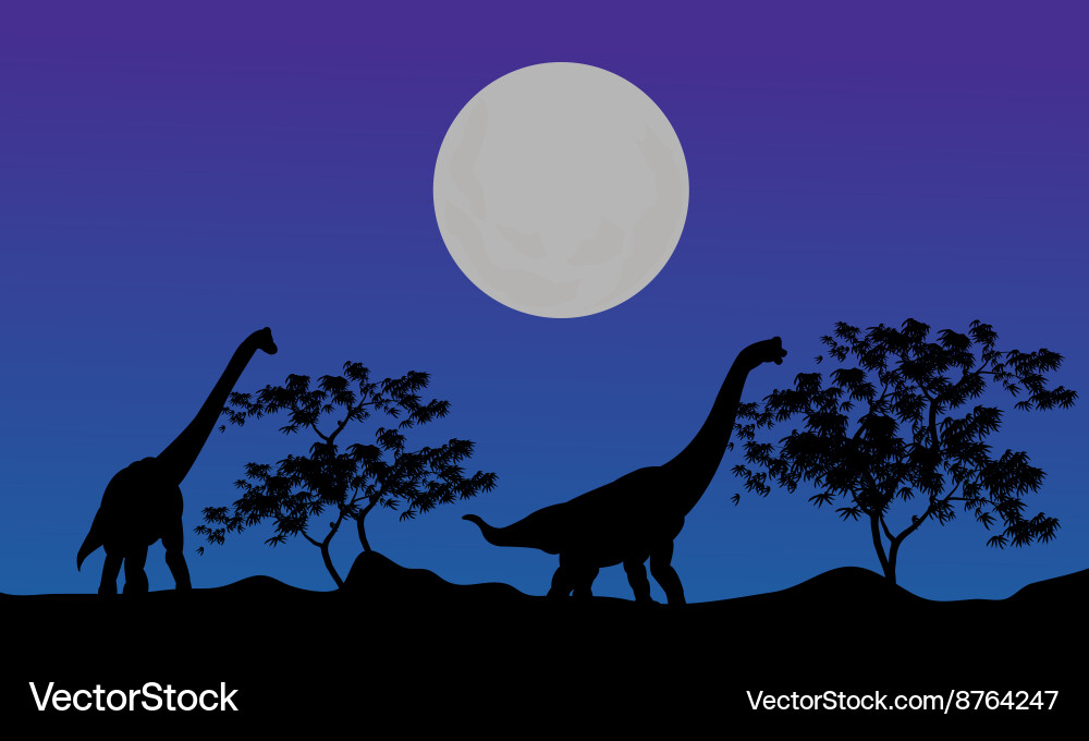Silhouette of brachiosaurus at the night Vector Image