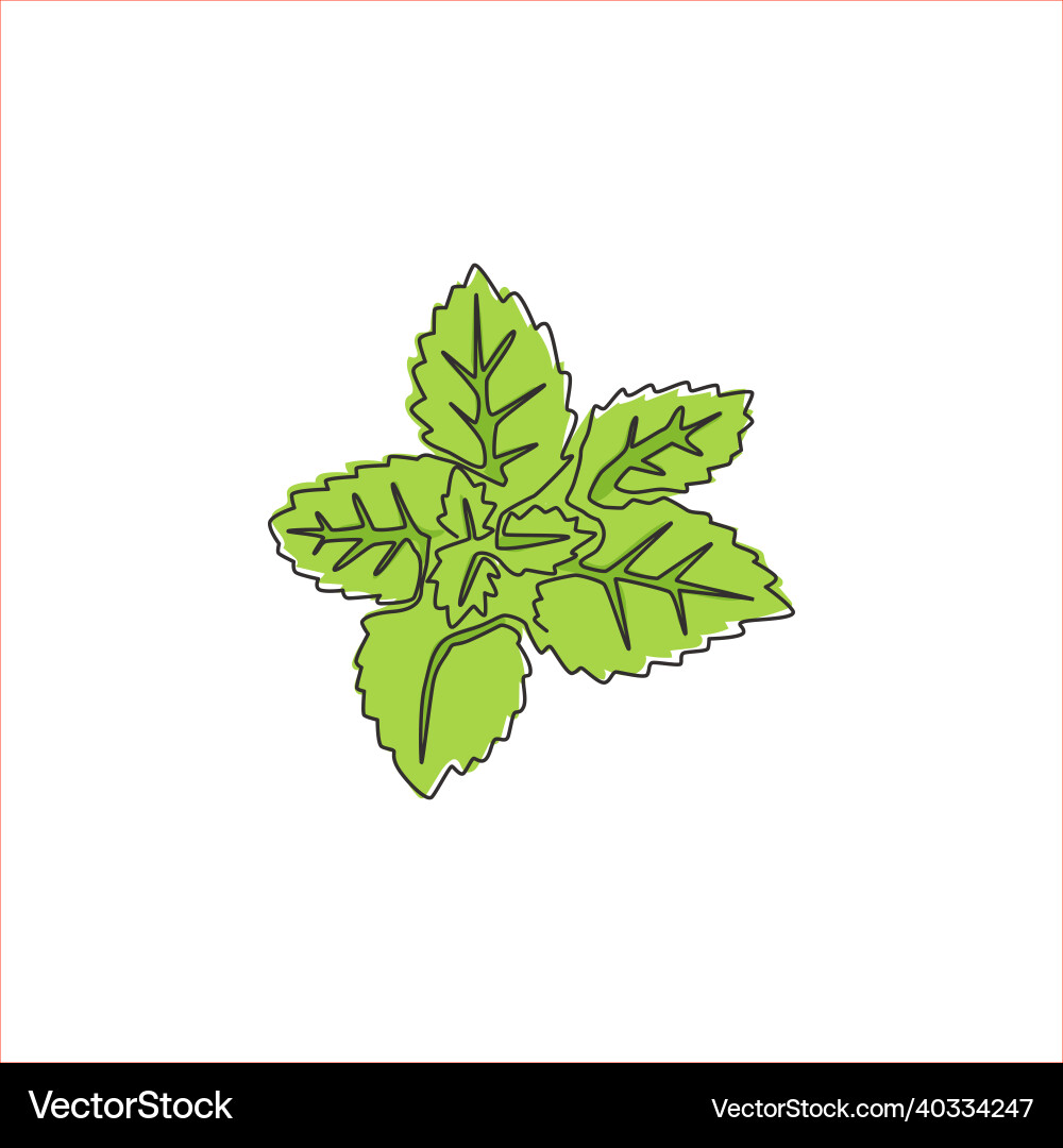 Single continuous line drawing of healthy organic Vector Image