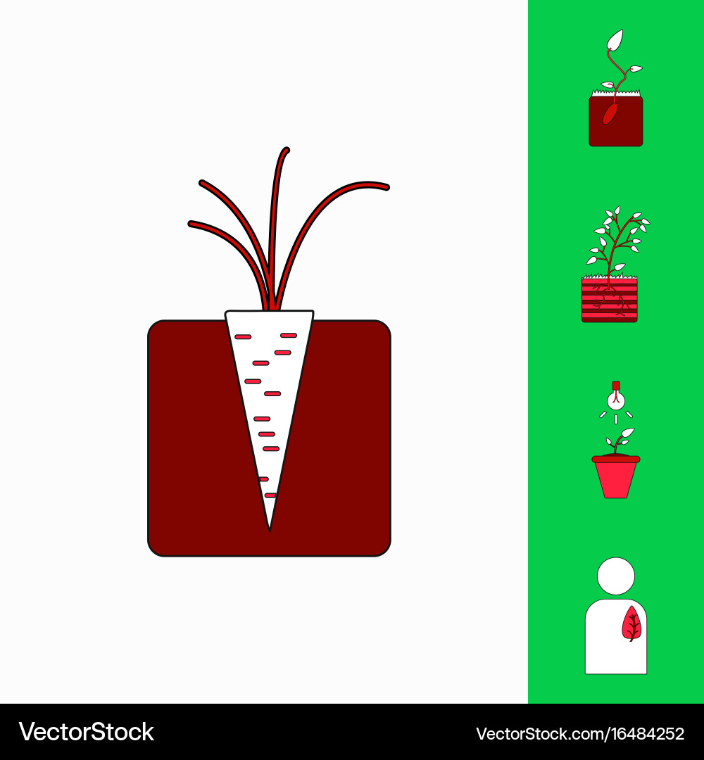 Collection icons and plants stages Royalty Free Vector Image