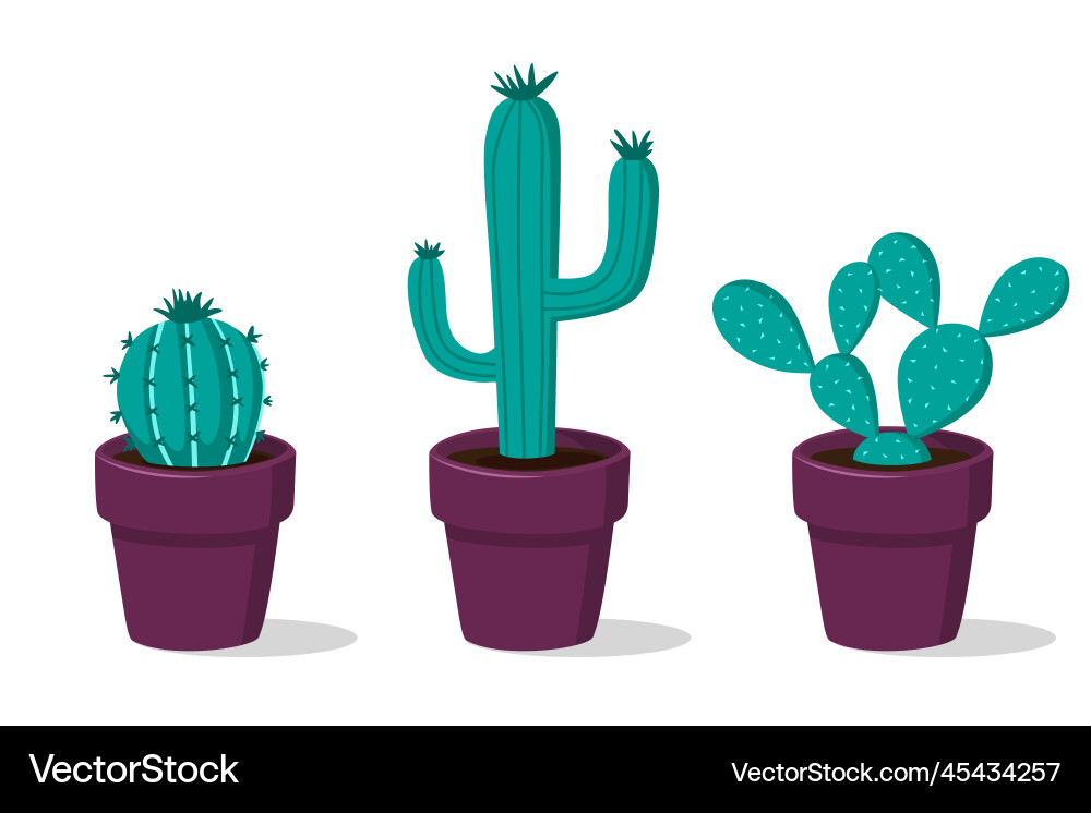 Cactus plants in pot for decoration Royalty Free Vector