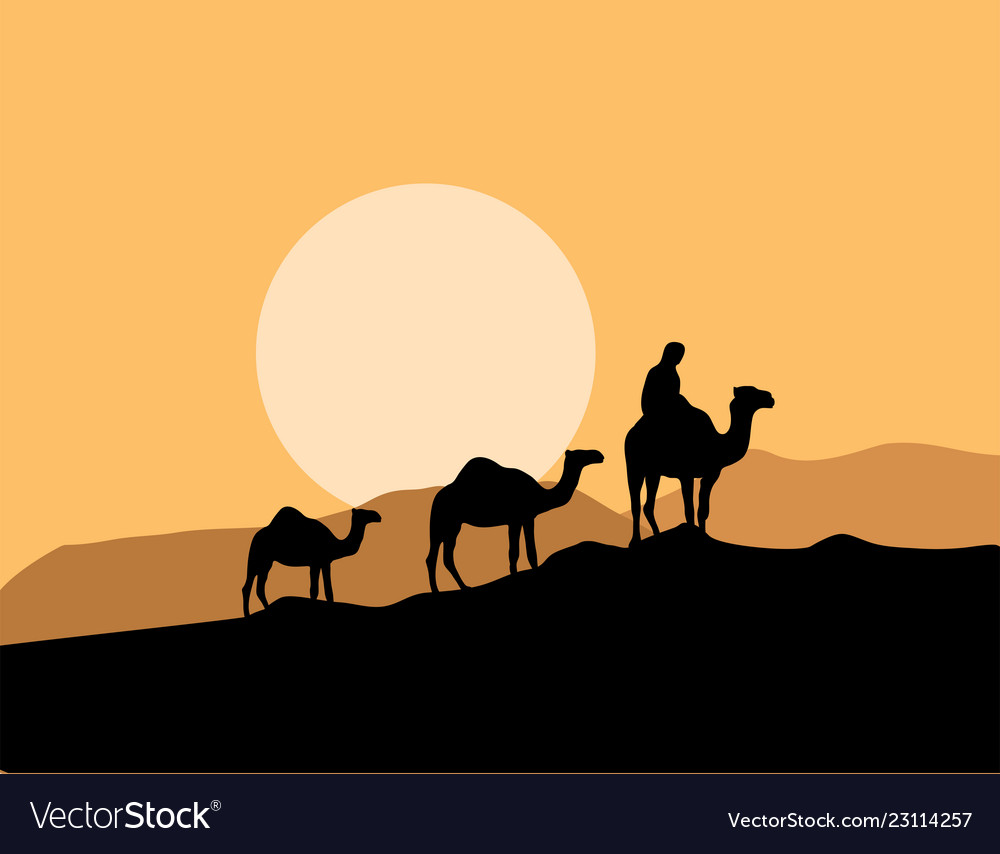Camel Royalty Free Vector Image - VectorStock