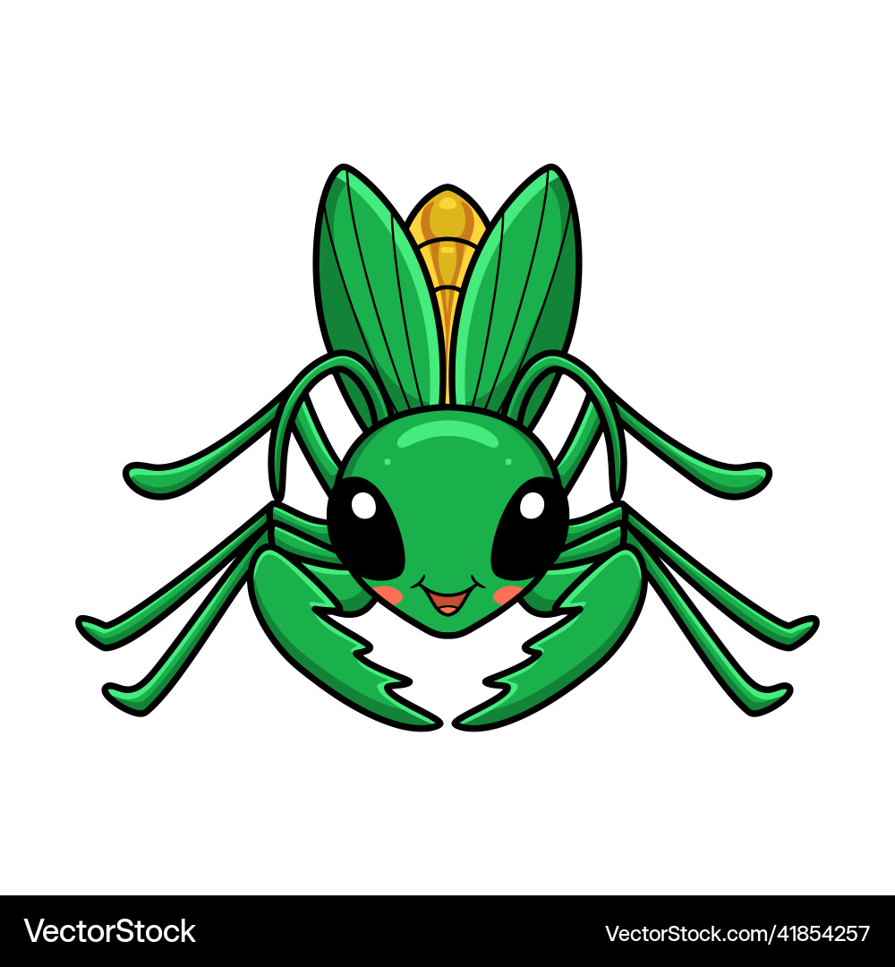 Cute little mantis cartoon character Royalty Free Vector