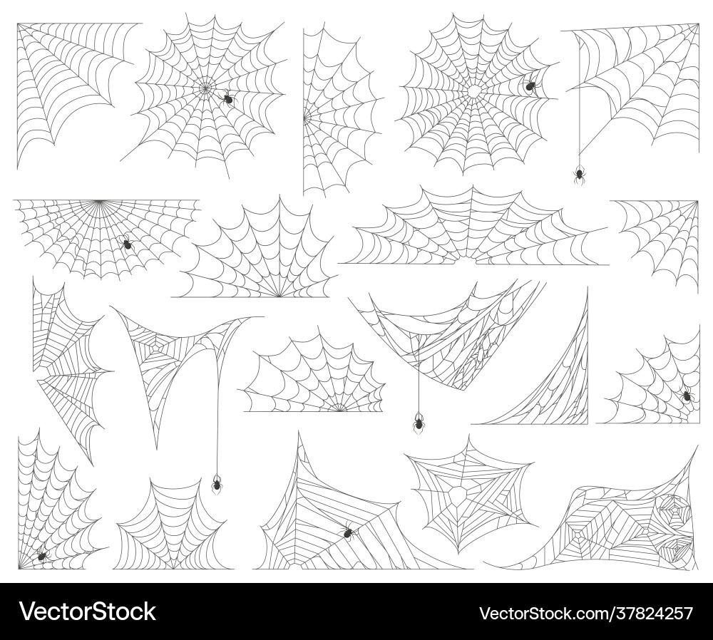 Halloween spider web spooky cobweb Royalty Free Vector Image