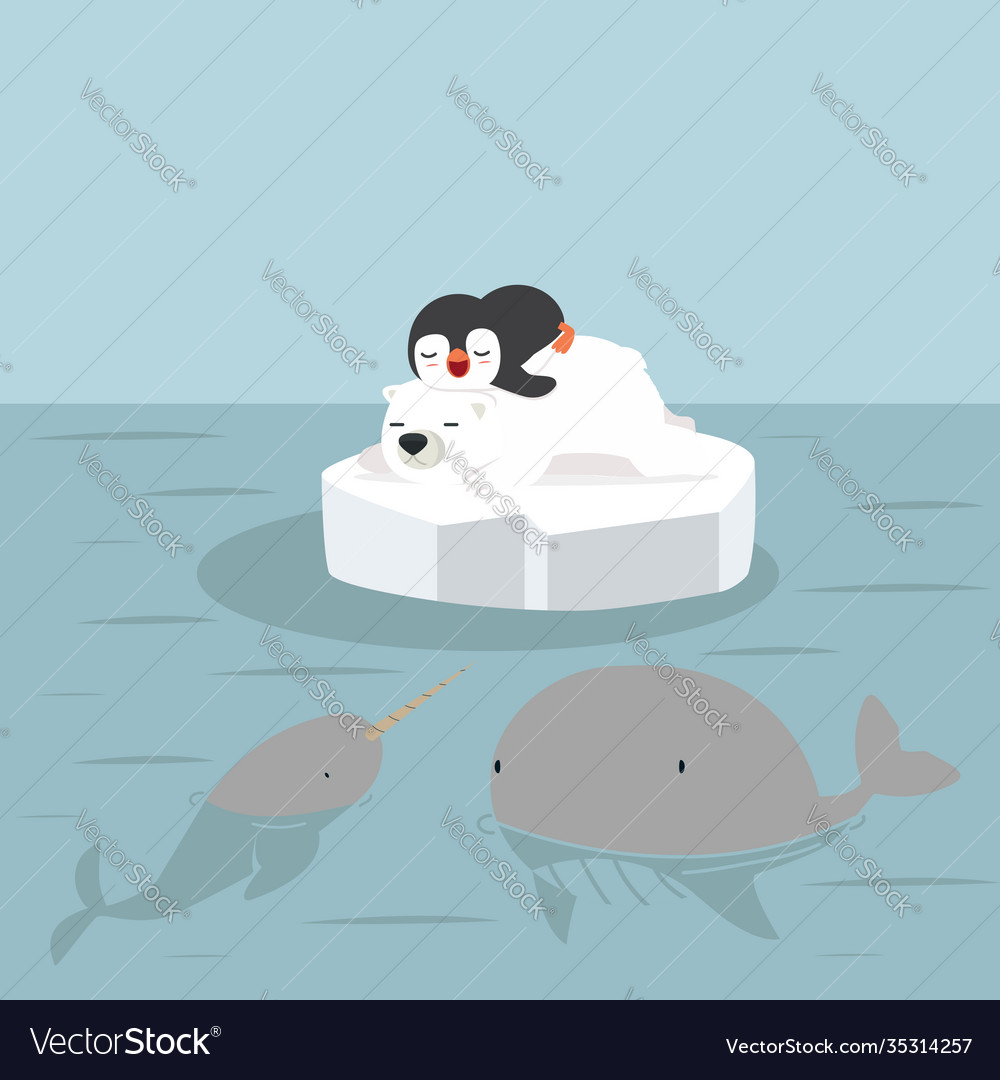 Narwhal Vs Polar Bear