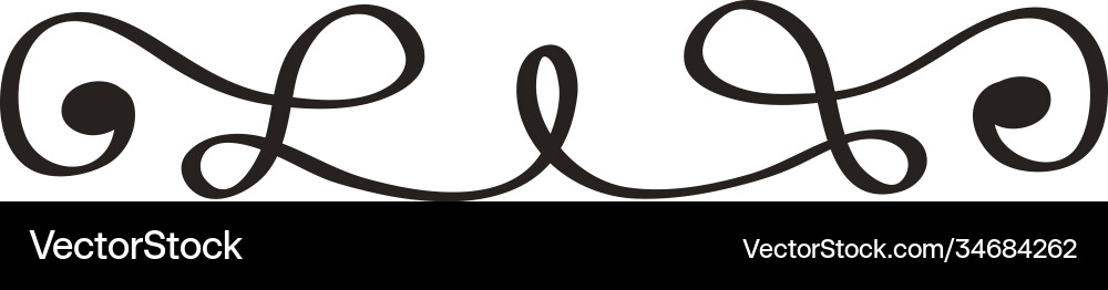 Decorative swirl divider monochrome icon Vector Image