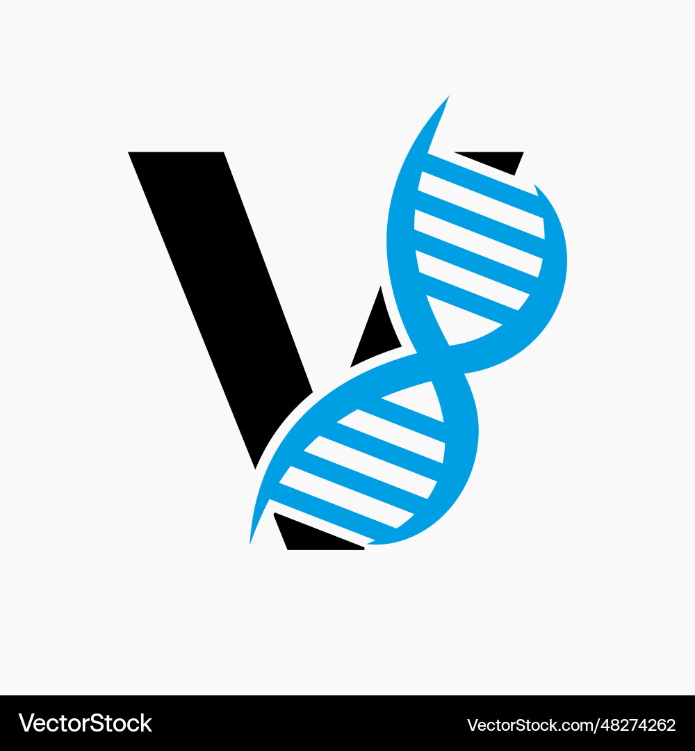 Letter v dna logo design concept with cell Vector Image