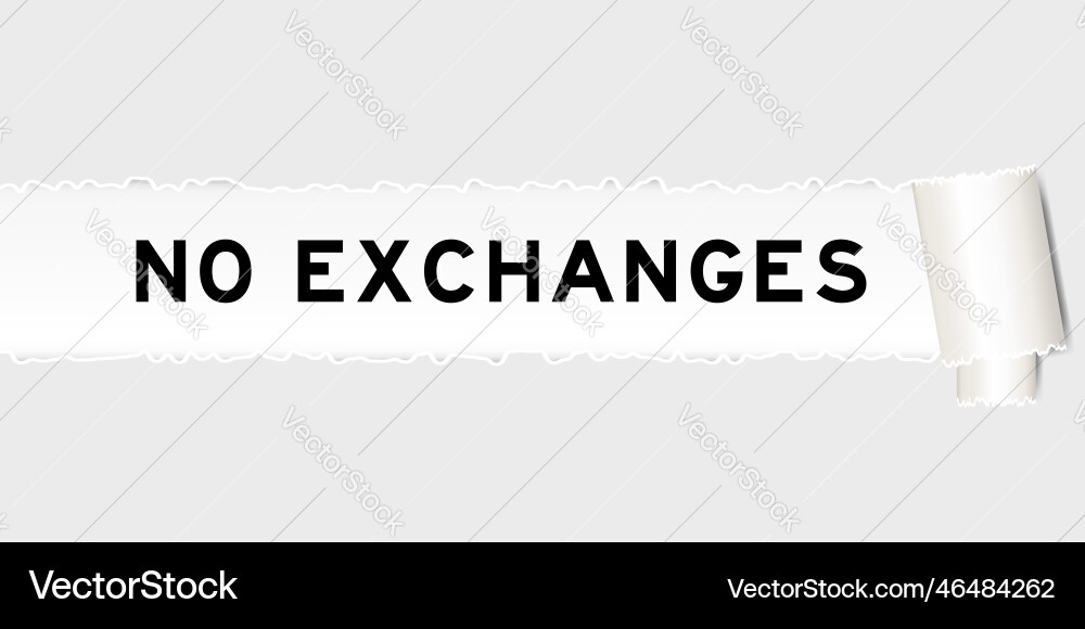 Ripped gray paper background that have word Vector Image