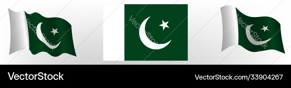 Flag islamic republic pakistan Royalty Free Vector Image