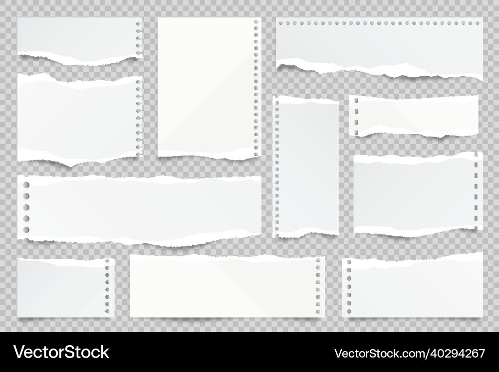 Ripped paper strips isolated on transparent Vector Image