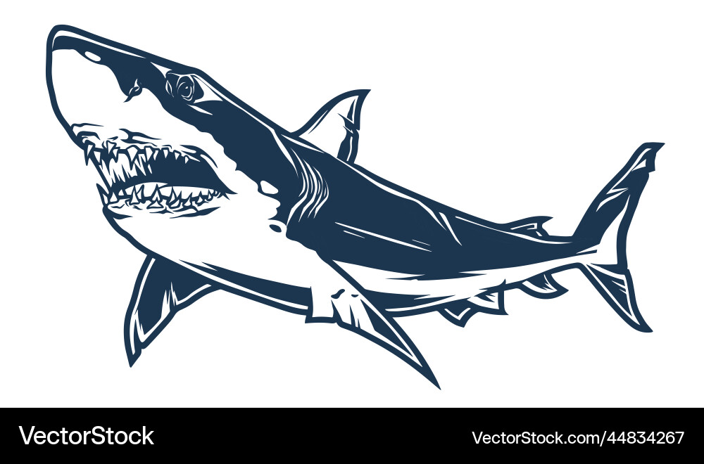 Shark fish monochrome detailed logotype Royalty Free Vector