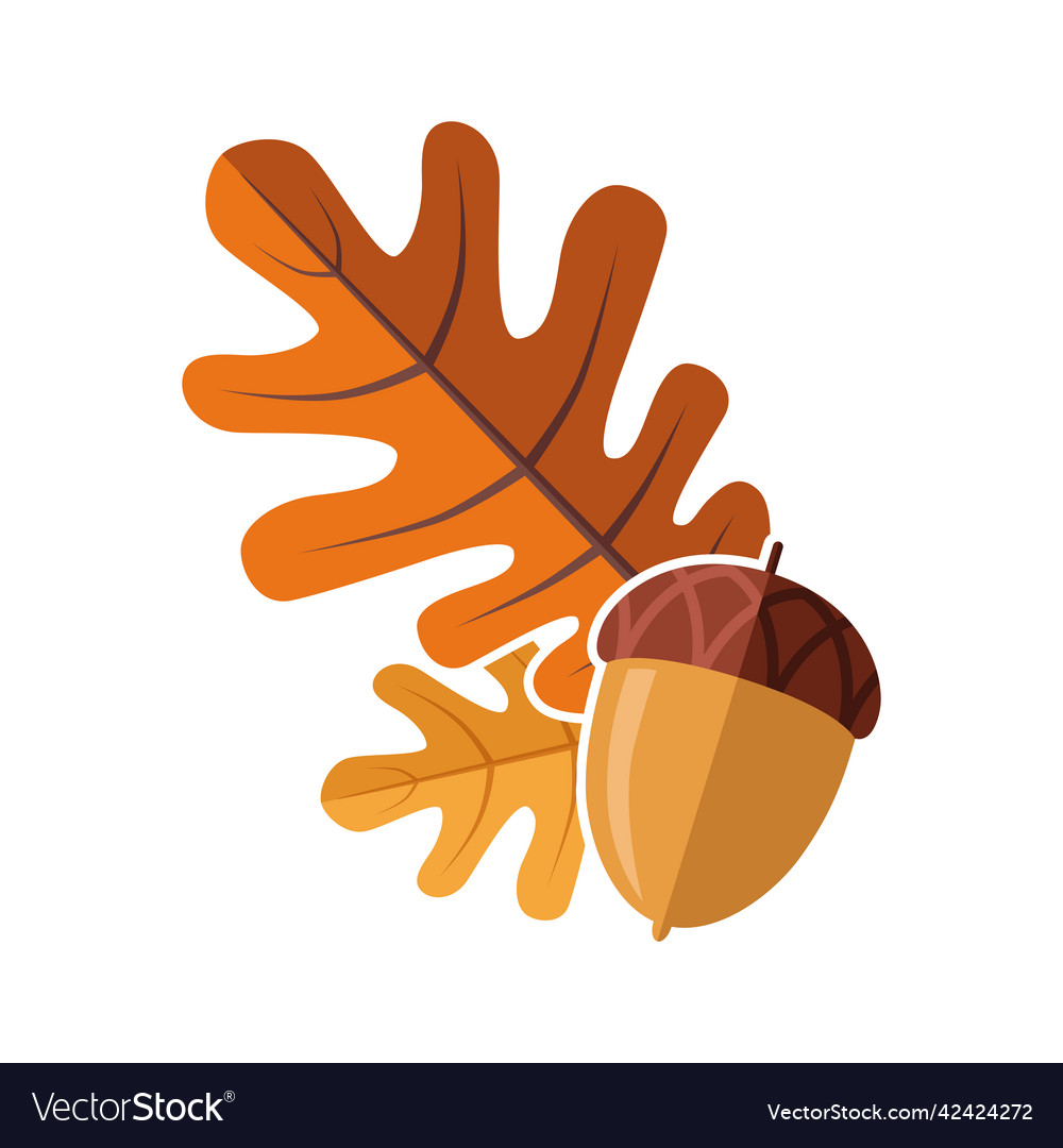 Acorn with oak leaves autumn season Royalty Free Vector