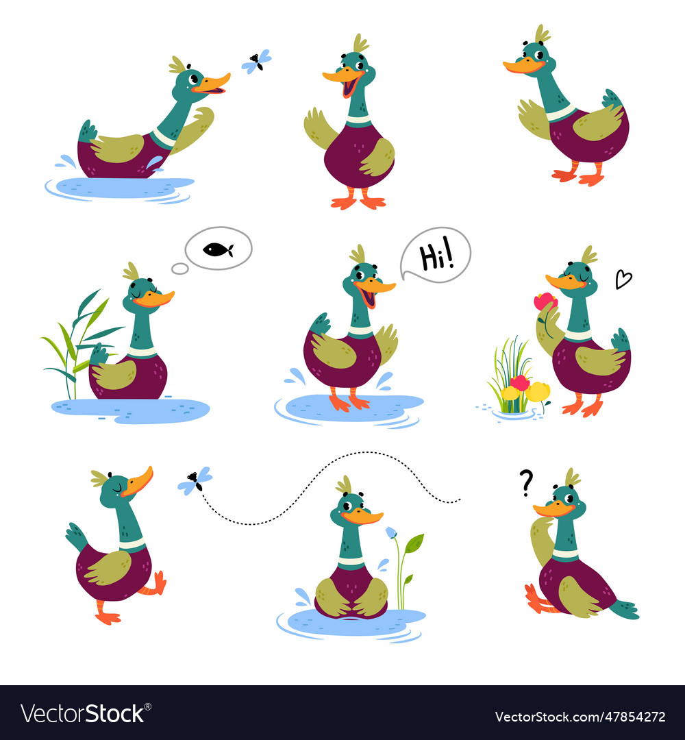 Funny dabbling duck character engaged in different