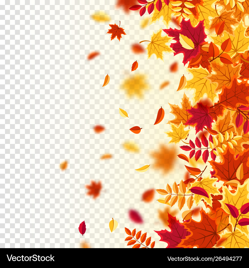 Autumn falling leaves nature background with red Vector Image