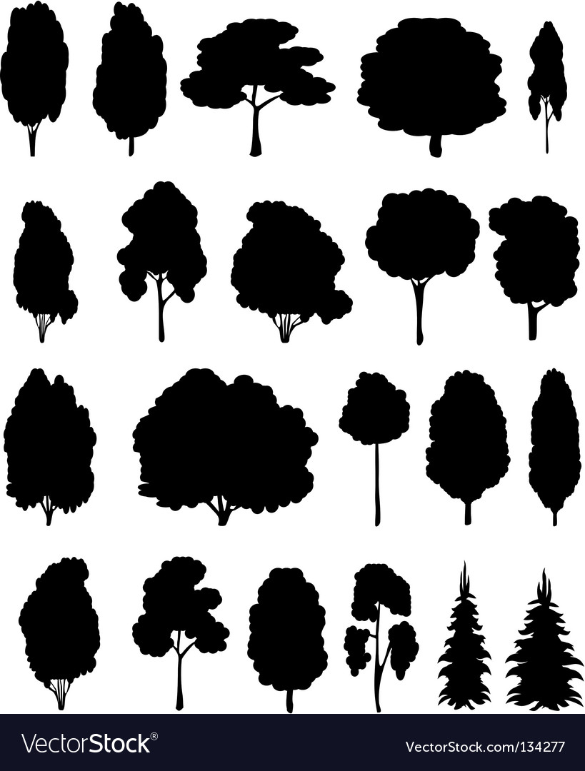 Trees Royalty Free Vector Image - VectorStock