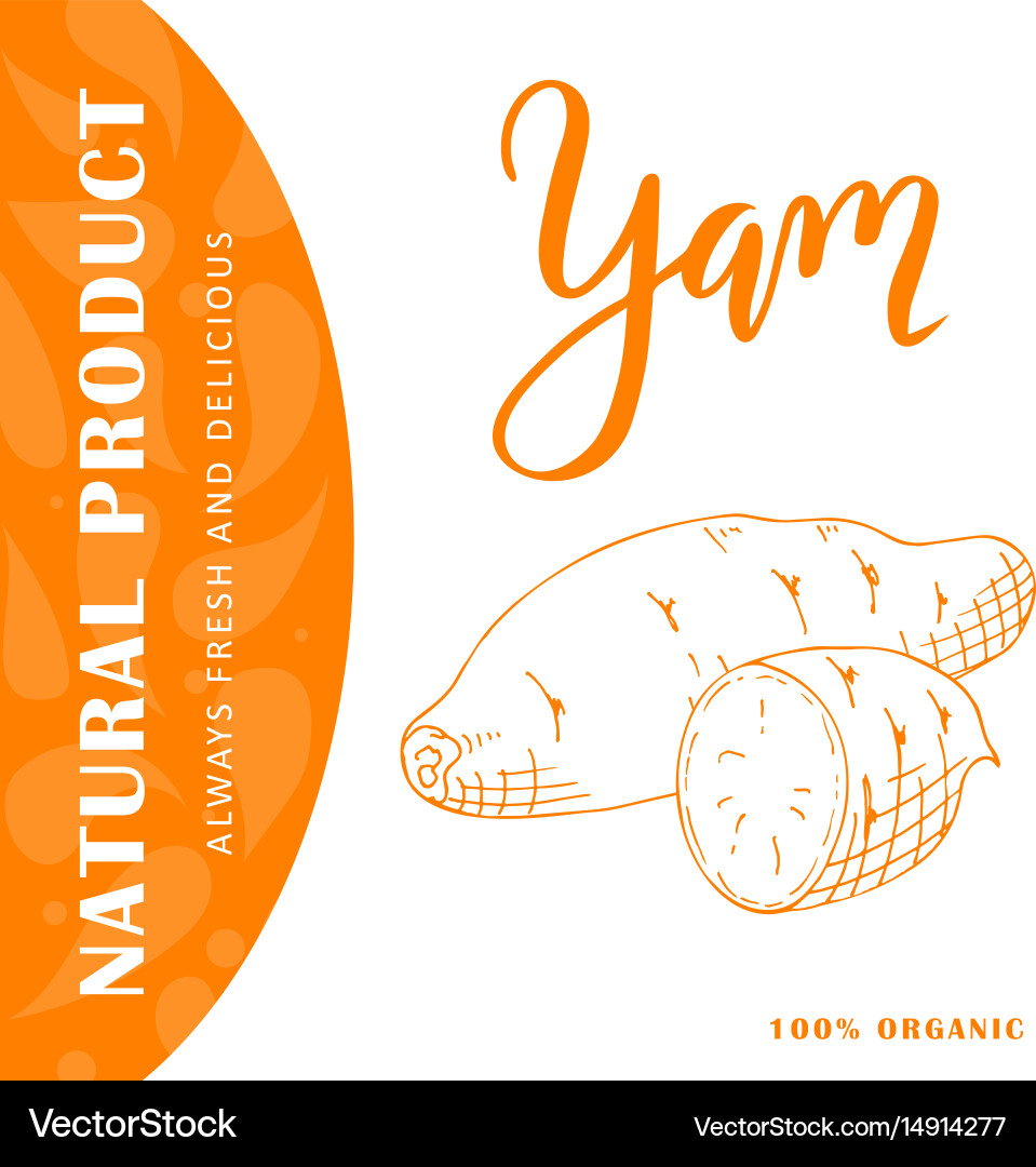 Vegetable element of yam hand drawn icon Vector Image