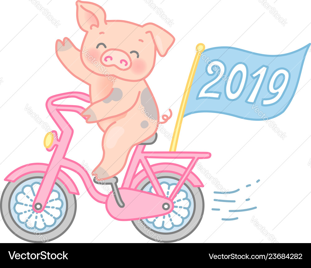 Pig rides a bike Royalty Free Vector Image - VectorStock
