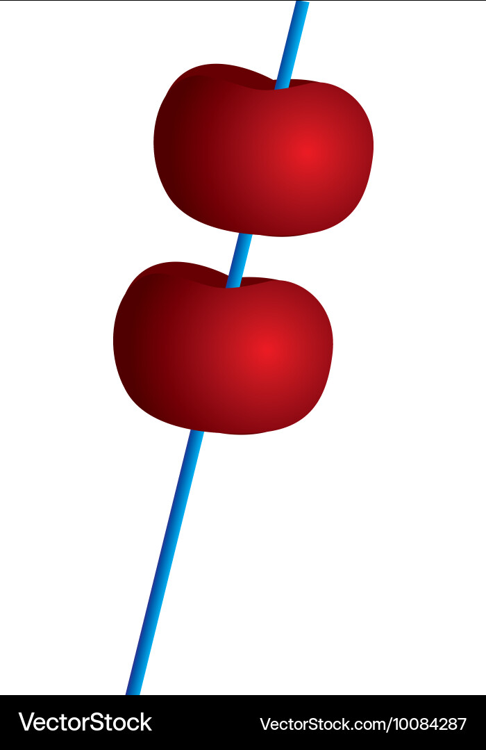 Cocktail fruits stick icon Royalty Free Vector Image