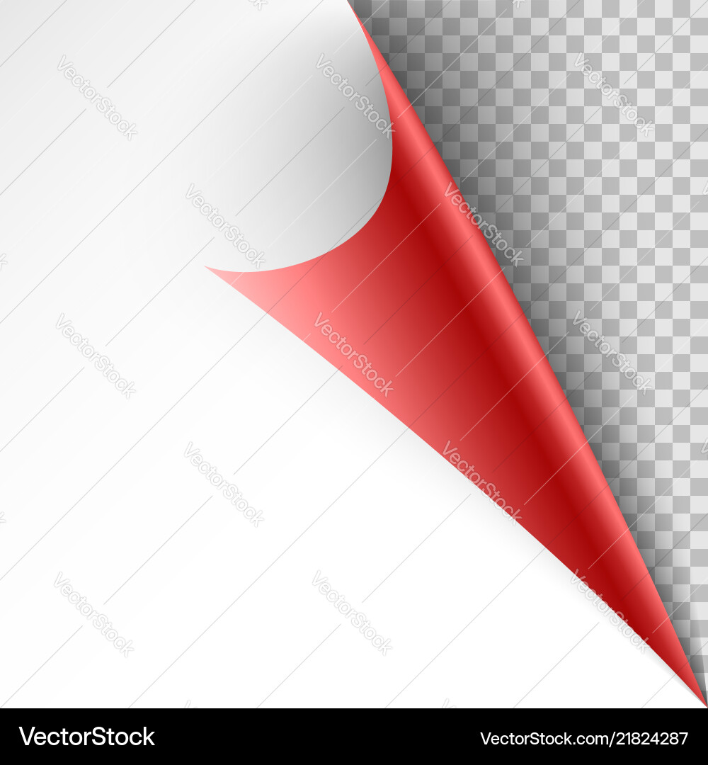 Paper twirl template for you idea Royalty Free Vector Image