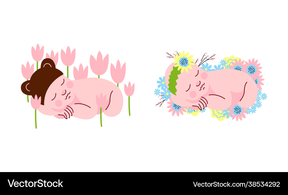 Cute lovely newborn babies sleeping in spring Vector Image