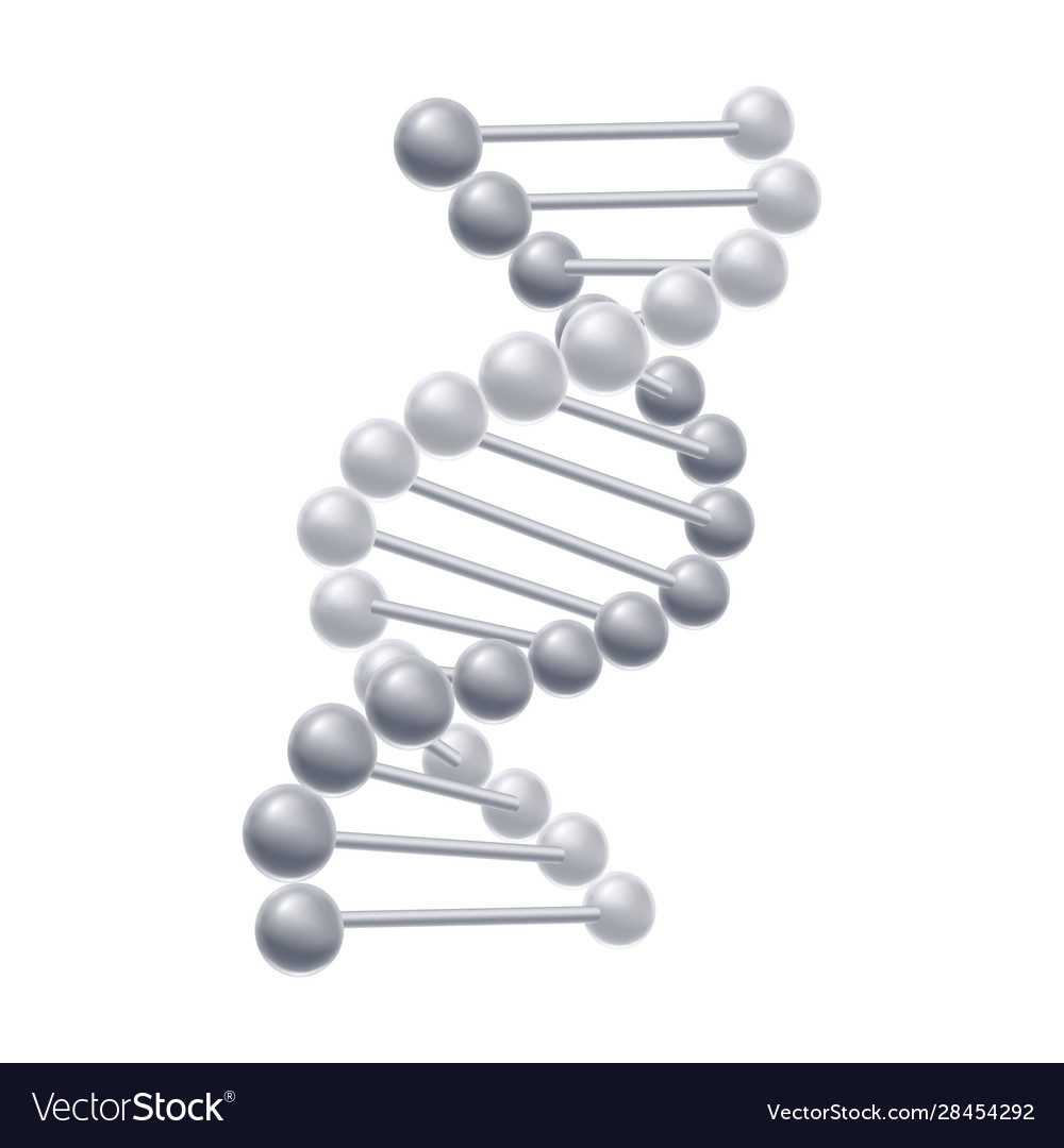 Dna molecules structure Royalty Free Vector Image