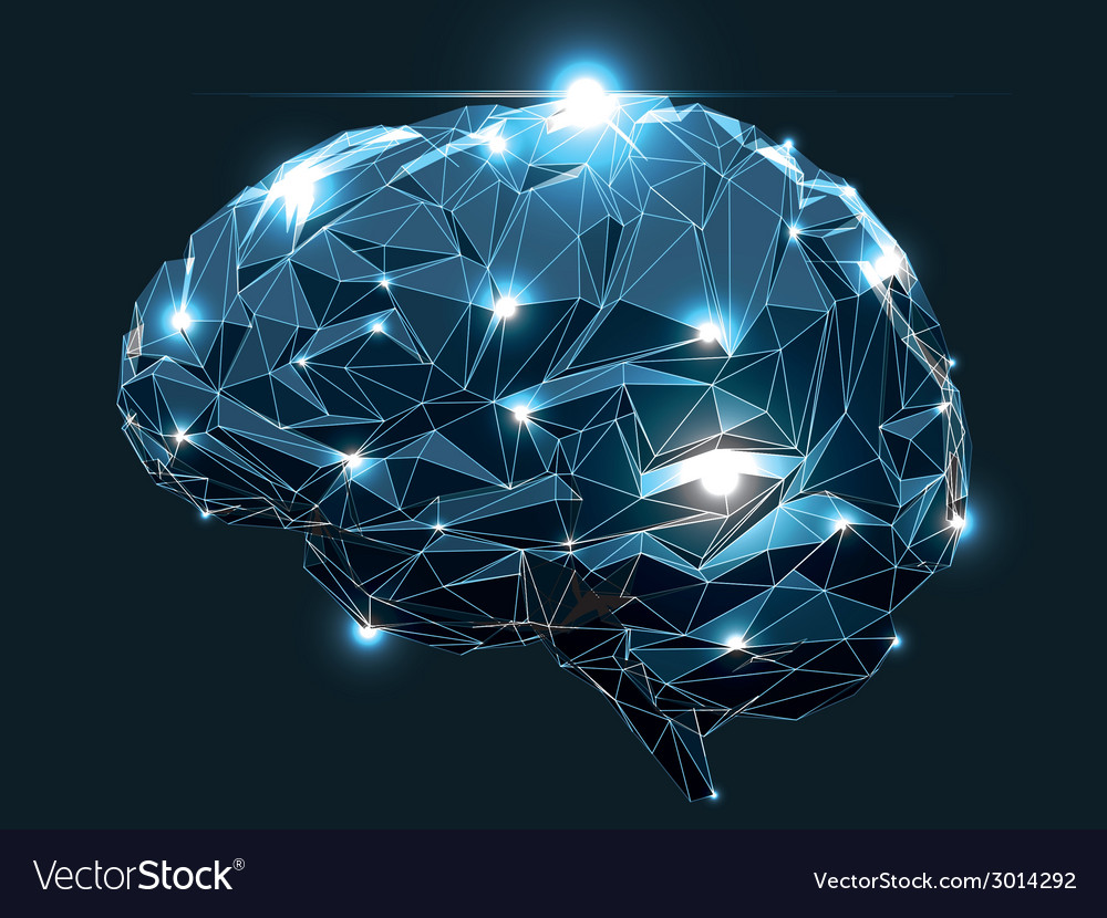 Human brain Royalty Free Vector Image - VectorStock