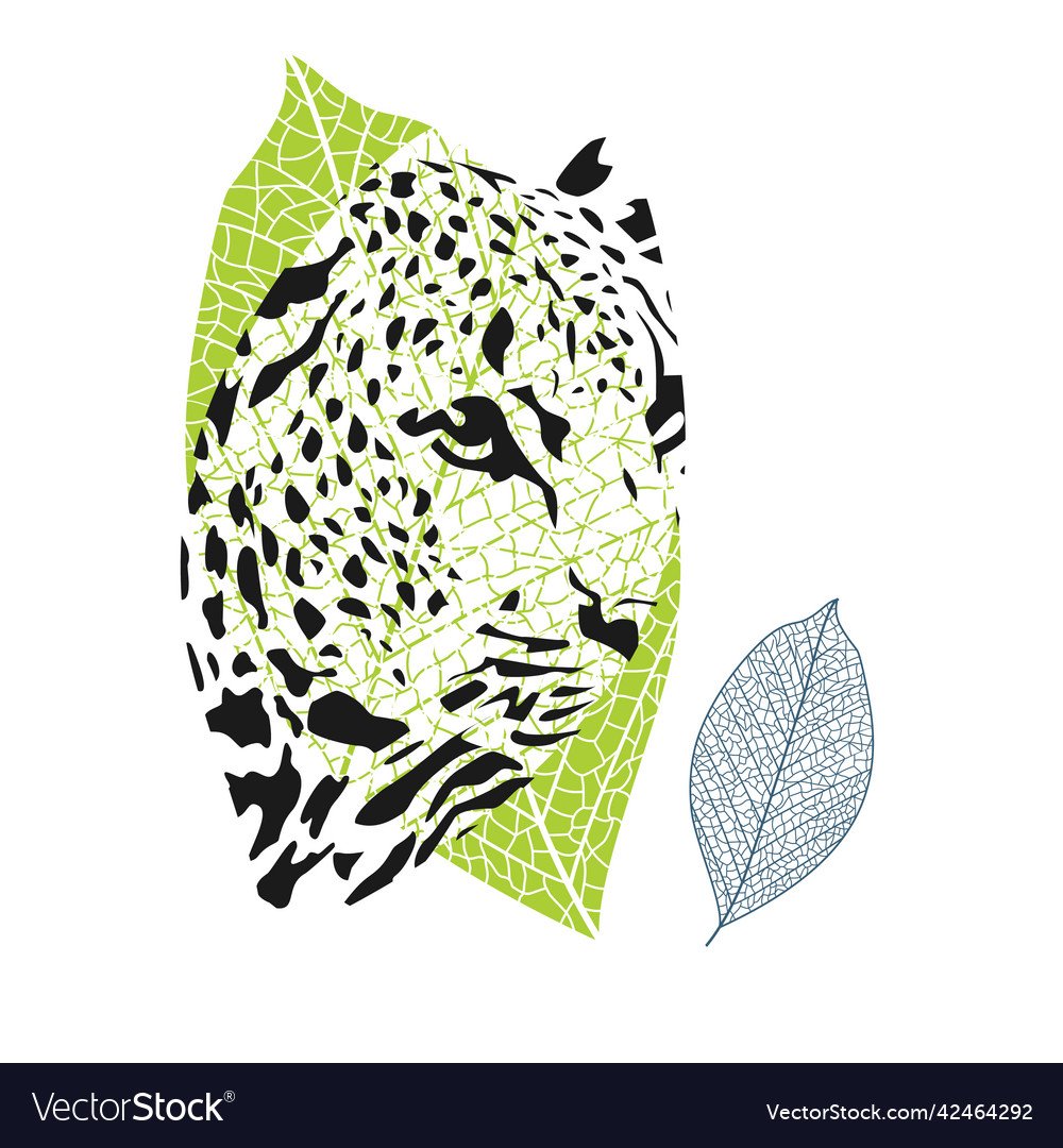 Leopard head Royalty Free Vector Image - VectorStock