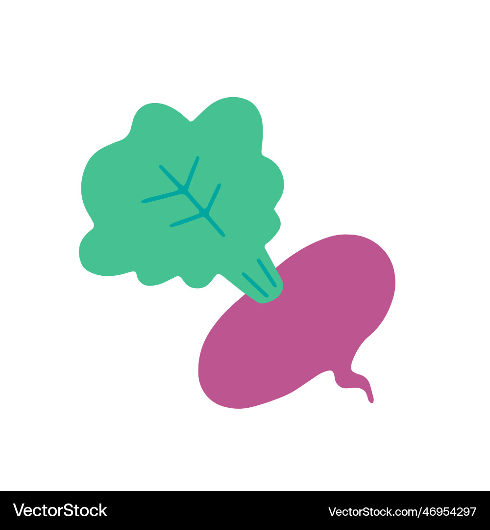 Beet isolated on white background flat cartoon Vector Image