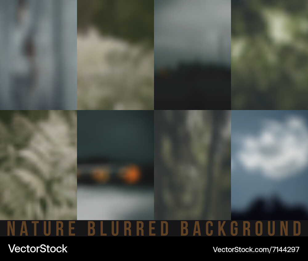 Set of blurred backgrounds nature Royalty Free Vector Image