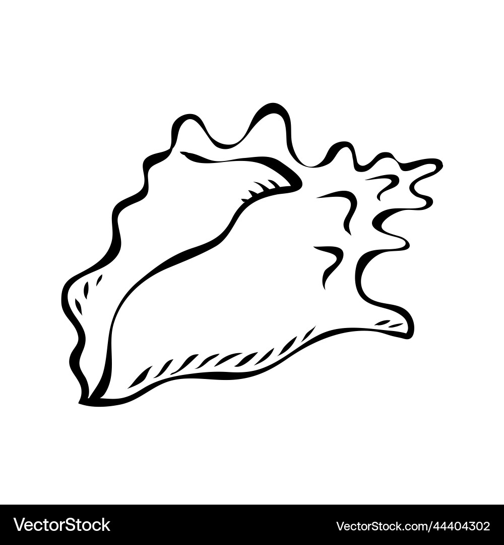 Black and white sketch sea shell mollusc Vector Image