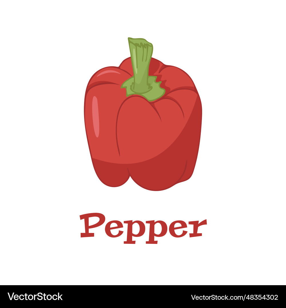 Fresh delicious red bell pepper isolated Vector Image
