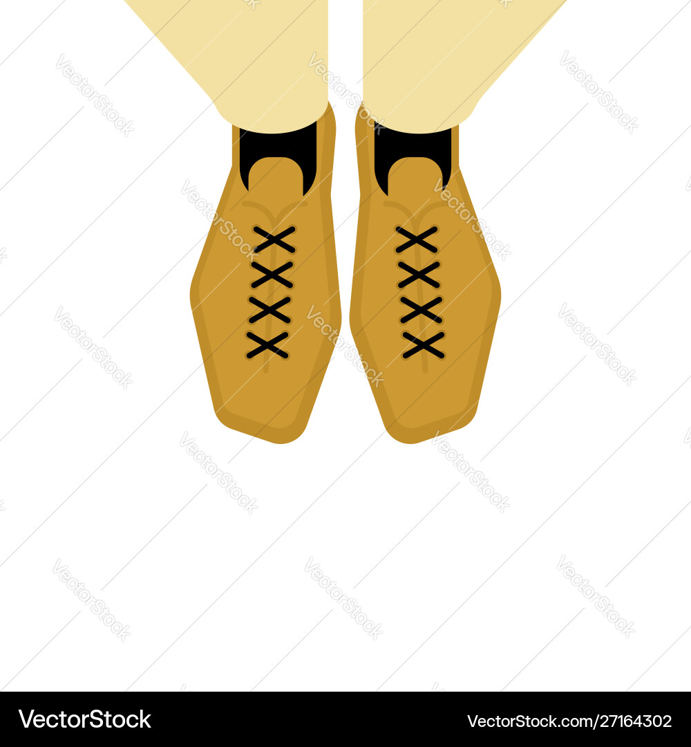 Men legs in shoes top view Royalty Free Vector Image