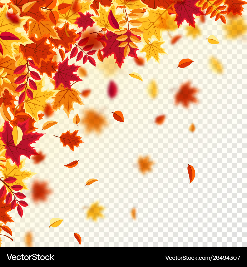 Autumn falling leaves nature background with red Vector Image