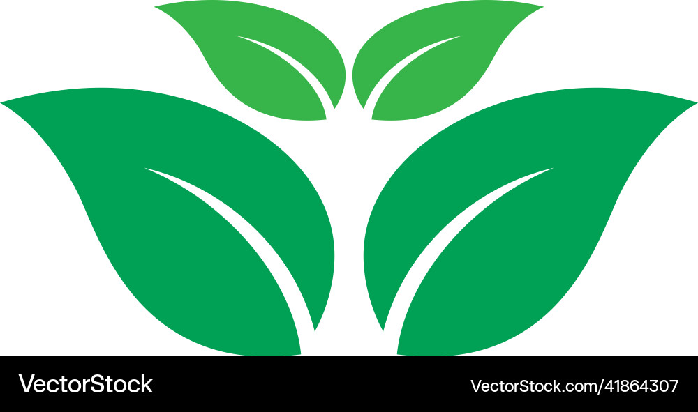 Eco tree leaf Royalty Free Vector Image - VectorStock
