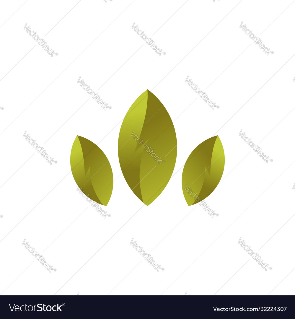Leaf colorful design template Royalty Free Vector Image
