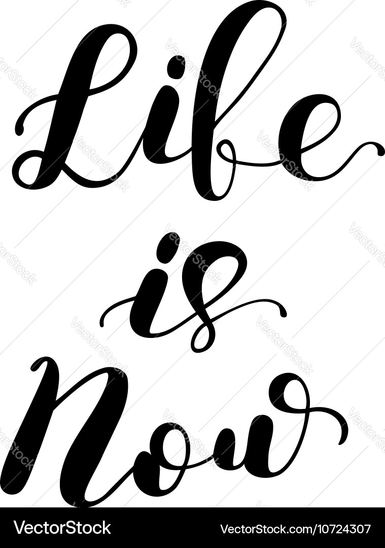 Life is now brush lettering Royalty Free Vector Image
