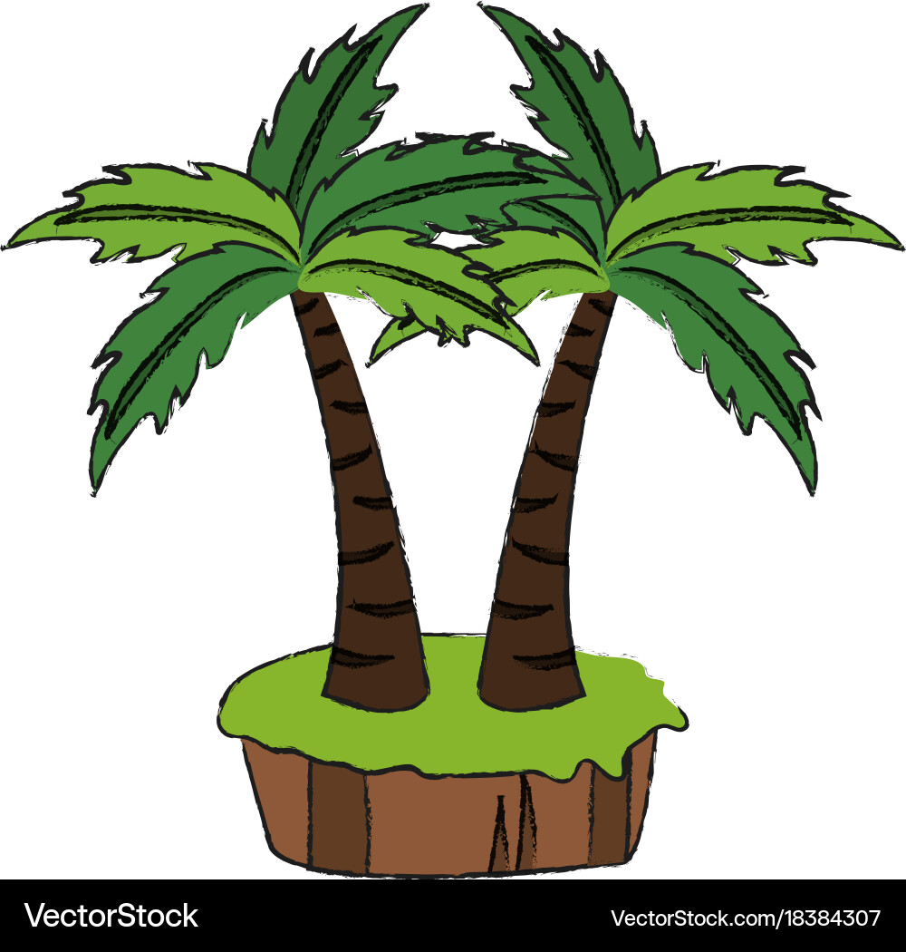 Palm tree isolated Royalty Free Vector Image - VectorStock