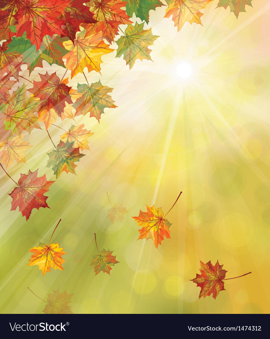Fall Royalty Free Vector Image - VectorStock