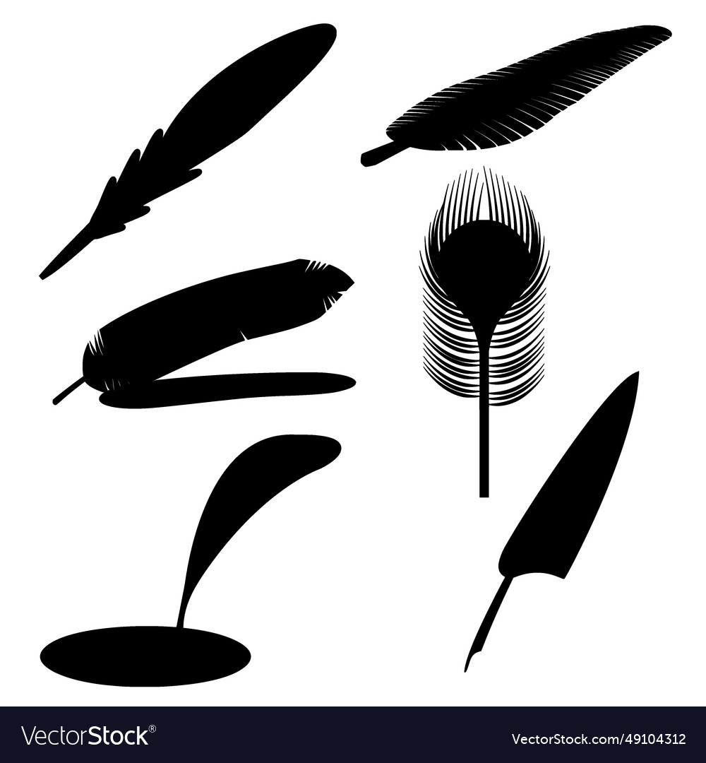 Feather Royalty Free Vector Image - VectorStock