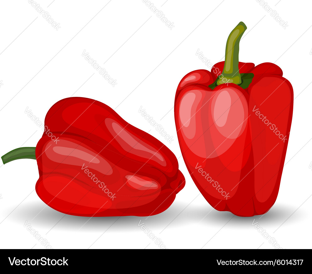 Set of two glossy red peppers Royalty Free Vector Image