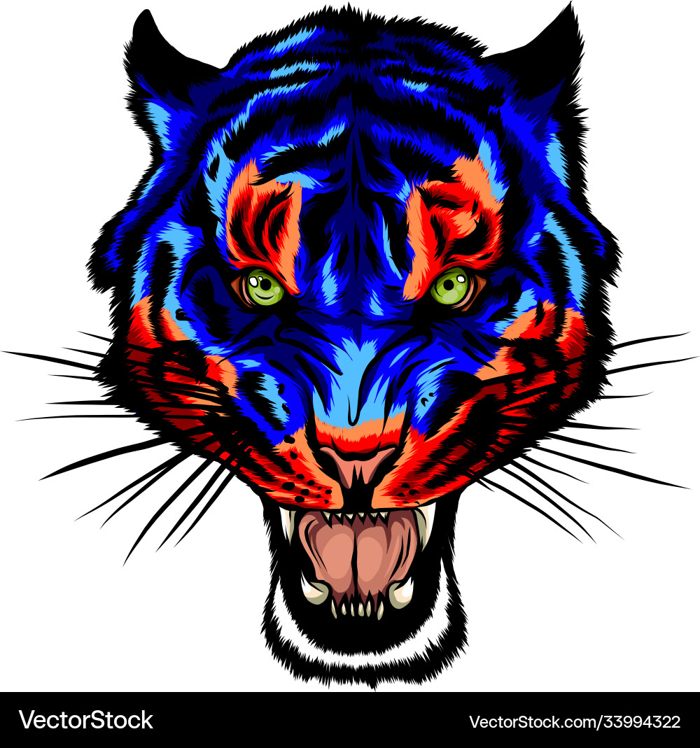 Mascot image a tiger head with whiskers Royalty Free Vector