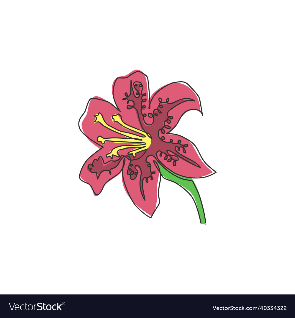 Single Continuous Line Drawing Beauty Lilium Vector Image