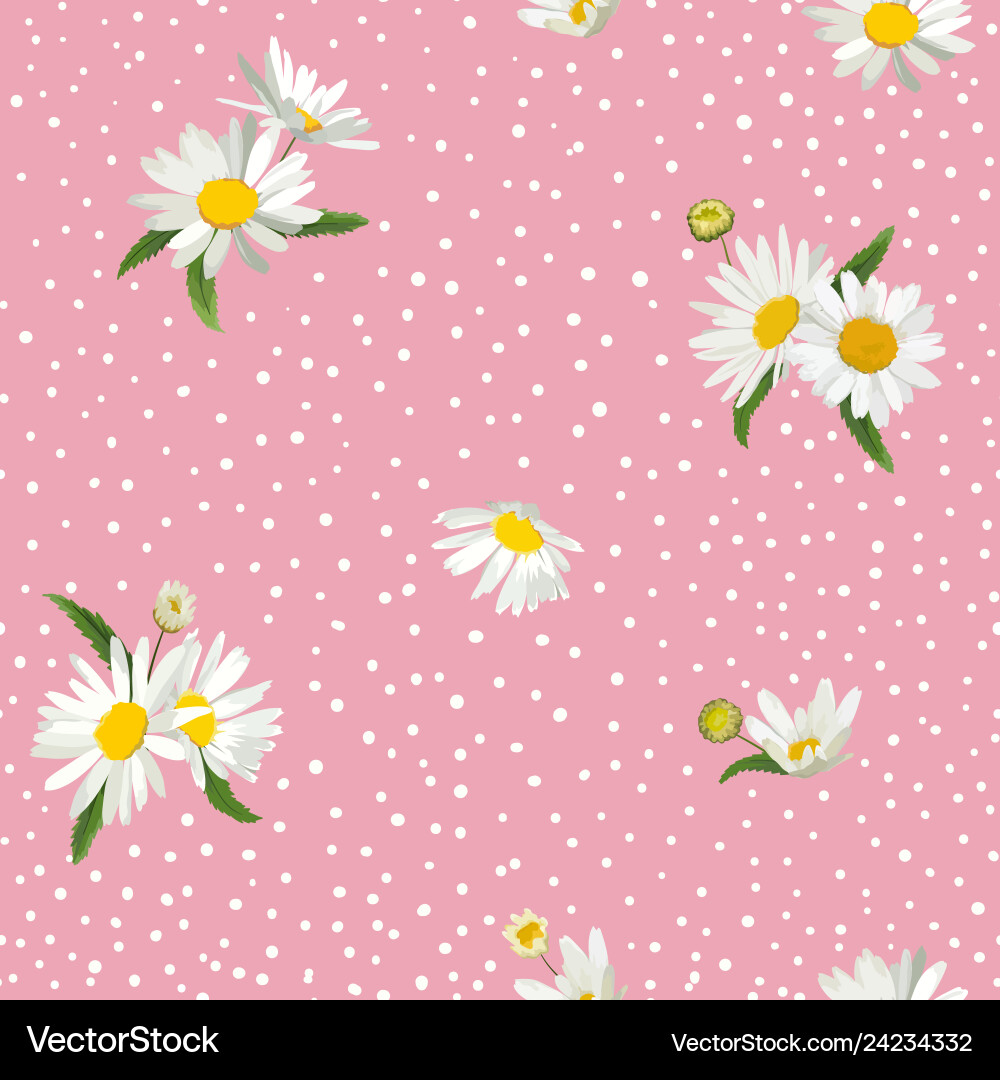 Floral seamless pattern with blossom daisy flowers
