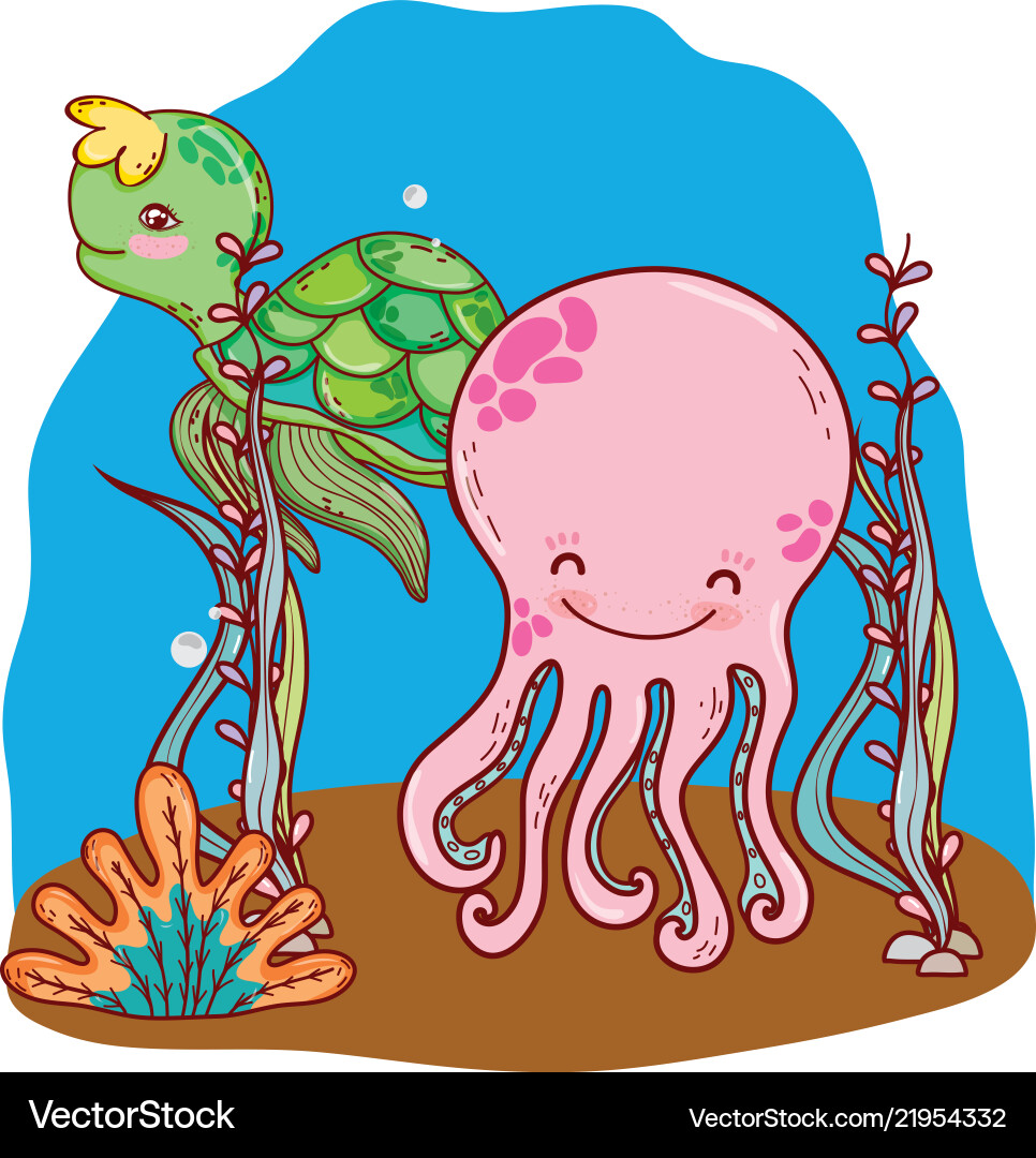 Octopus and turtle animals with seaweed plants Vector Image
